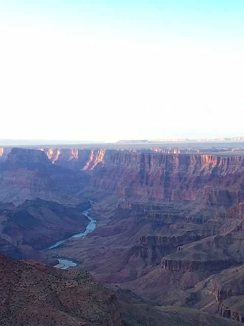 VORTEX | COLUMN | Daytona Park(FREAK'S STORE公式通販)